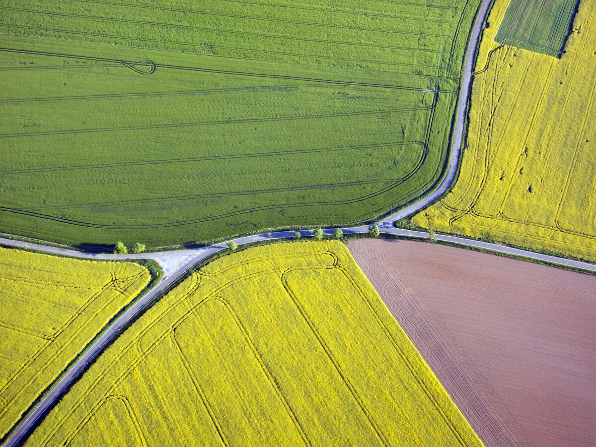 en: Ways to a sustainable CAP