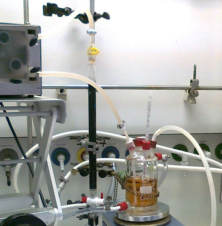 en: Downstream processing