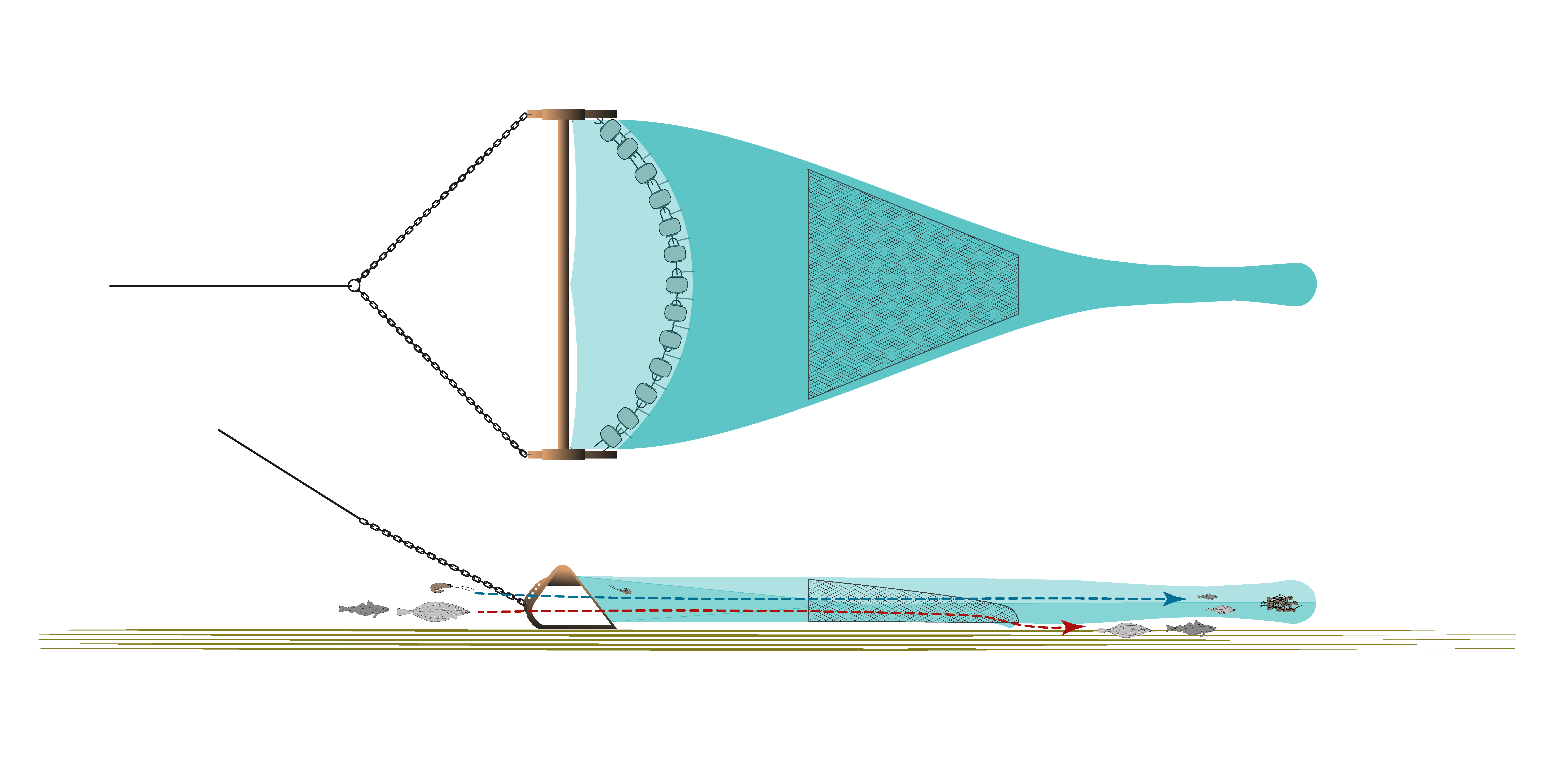 how do shrimp nets work