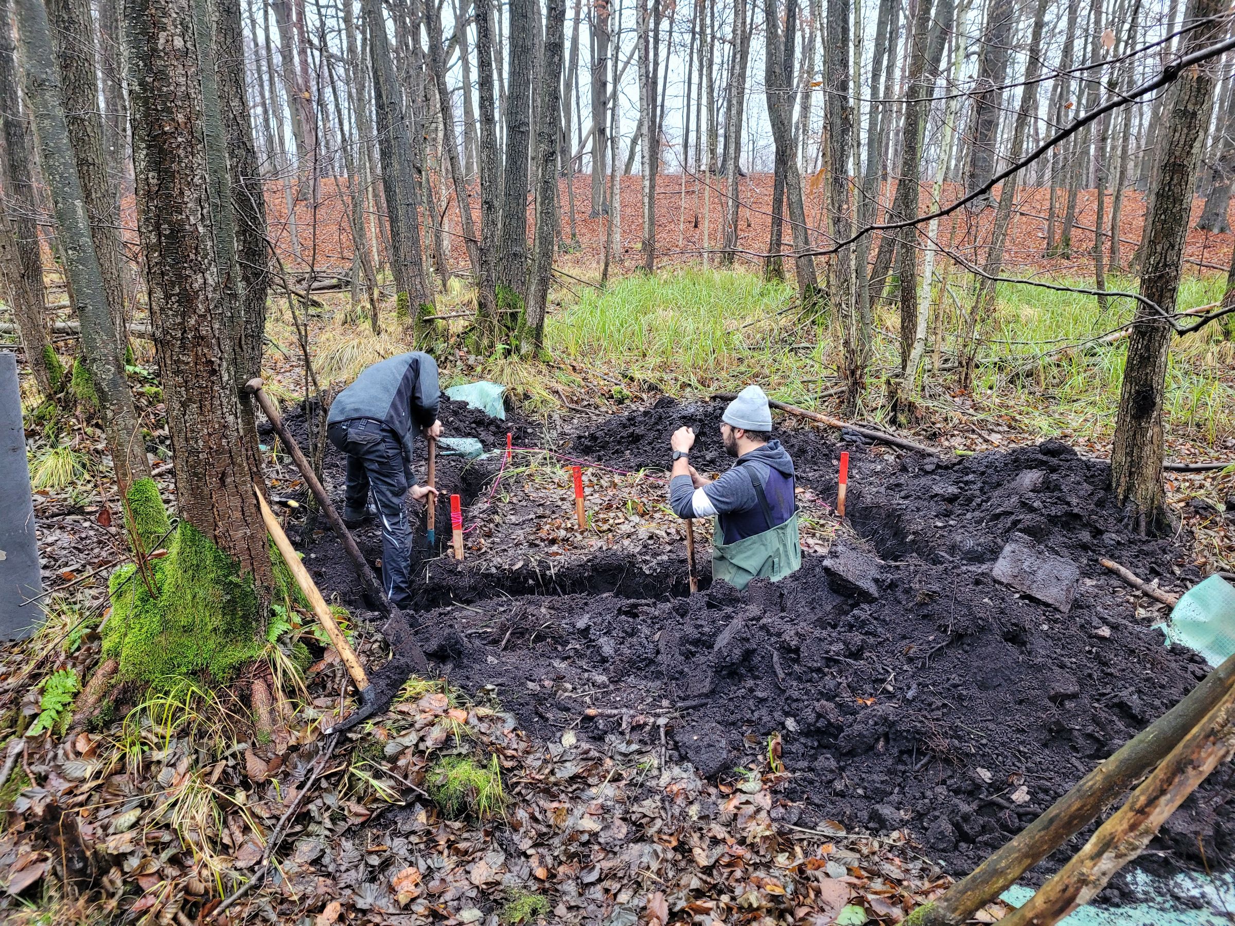 en: Analysis of ghg emissions from forested peatlands